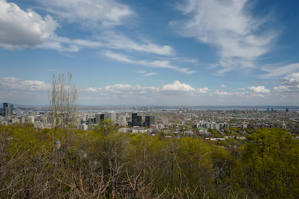Idée de balade à Montréal : Une journée à Westmount